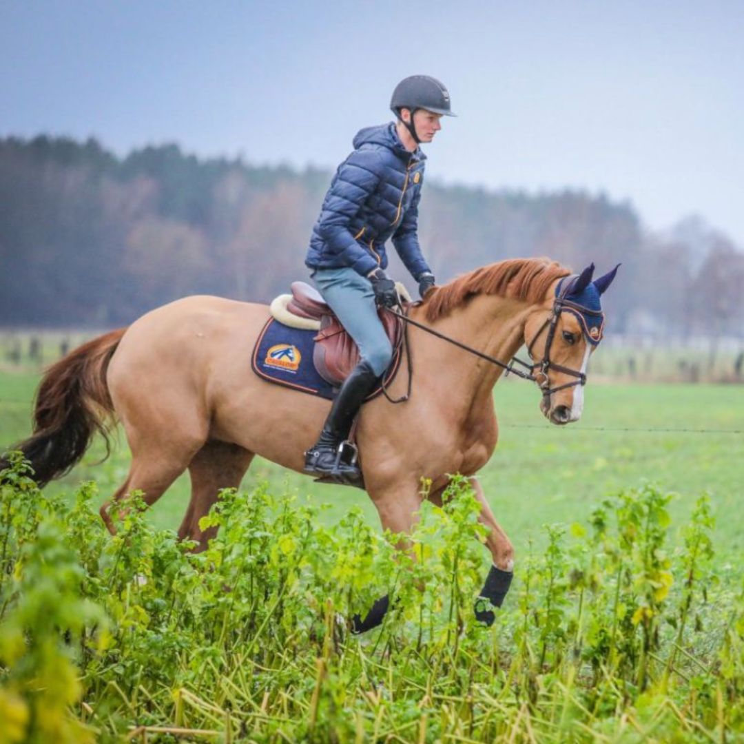 Know your muscles! – Cavalor Equicare